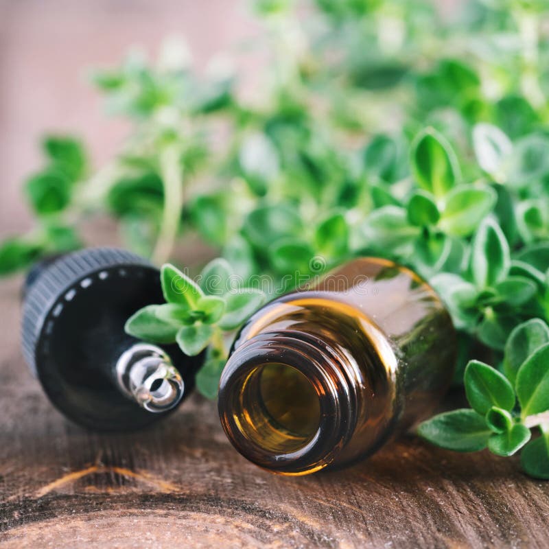 Organic Essential Thyme Oil with Green Leaves Stock Image - Image of ...