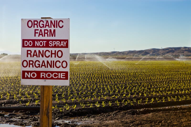 Organic Farm stock image. Image of food, agriculture - 16010569