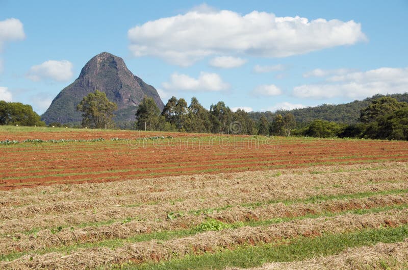 Organic Farm Land with Rows Stock Image - Image of agriculture ...