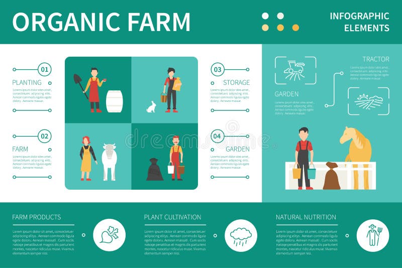 Farm Infographic Set stock vector. Illustration of cattle - 232155261
