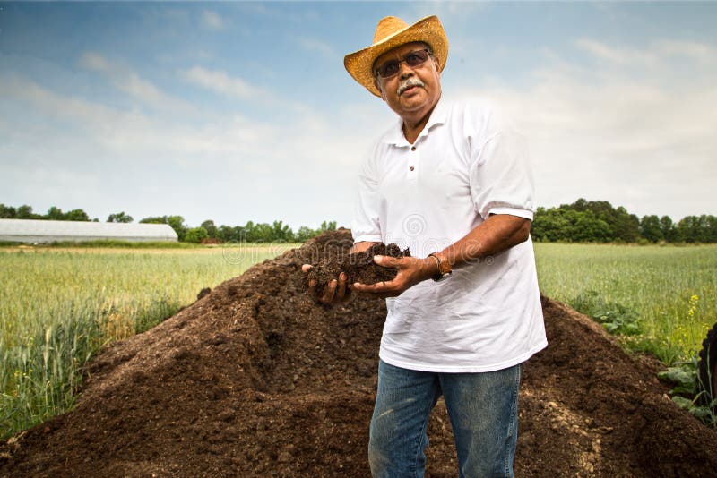Organic manure stock image. Image of growth, freshness - 56209519