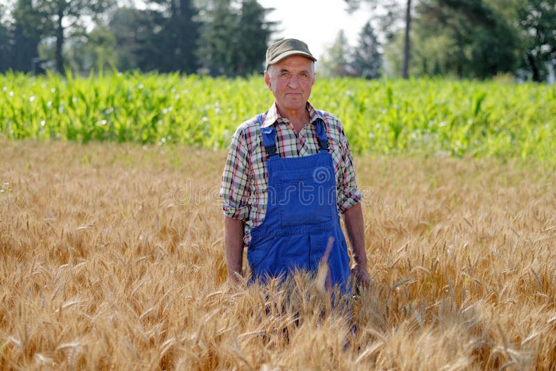 Proud Farmer Standing In Front Of His Tractor Stock Image - Image of ...