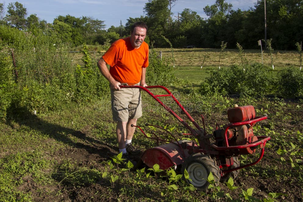 Organic Farmer Tilling between Garden Rows Stock Photo - Image of ...
