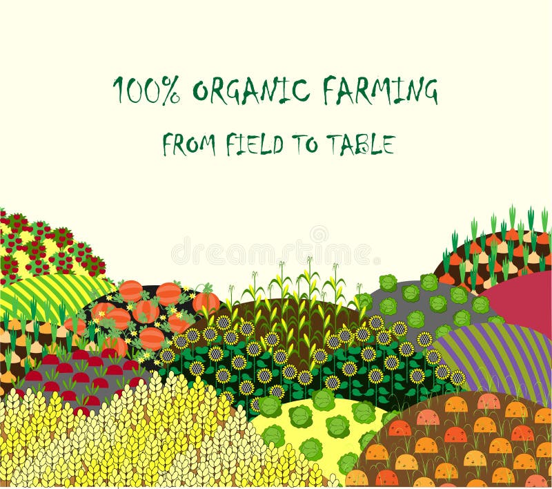 Organic Farming Background. Frame with Plenteous Fields Landscape Stock ...