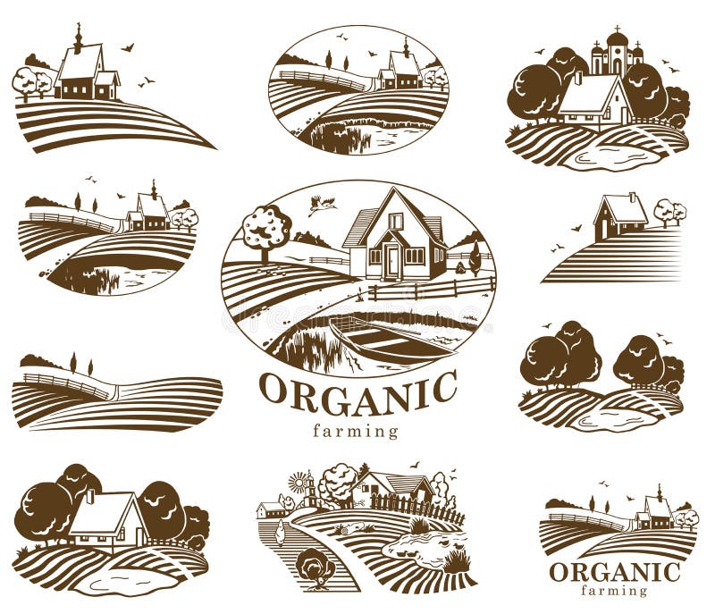 Organic Farming Design Elements. Stock Vector - Illustration of fresh ...