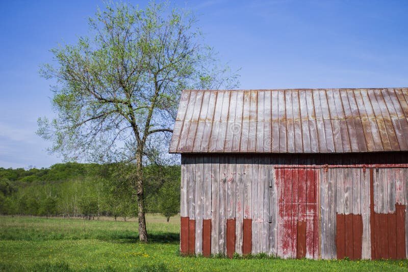 Organic Farming Methods for Fresh Produce with Rustic Old Barn I Stock ...