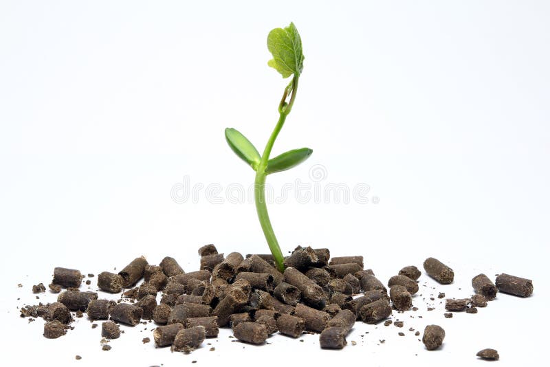 Organic Fertilizer Agriculture Stock Photo - Image of fertilizer, green ...