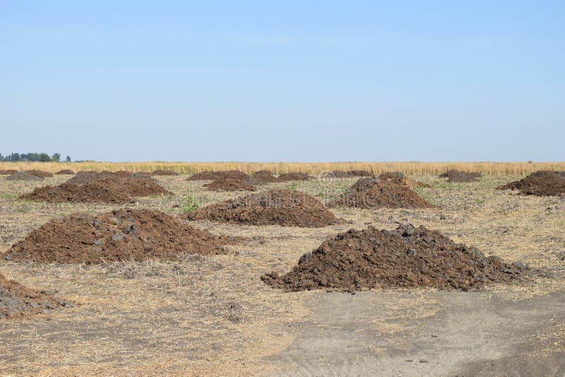 Organic fertilizer stock image. Image of fertility, organic - 84415775