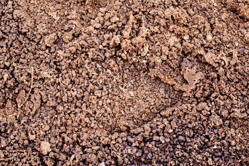 Organic manure stock image. Image of growth, freshness - 56209519