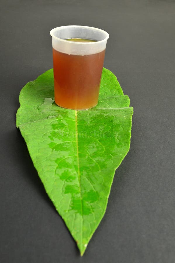 Organic manure stock image. Image of growth, freshness - 56209519