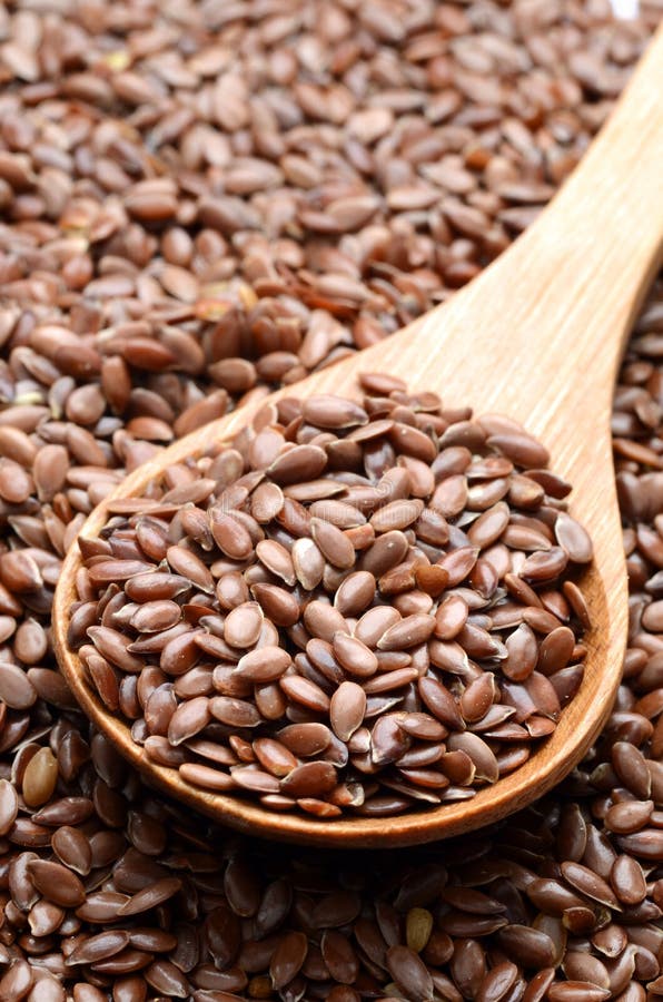 Organic Flax seed stock photo. Image of fatty, linum - 64664658