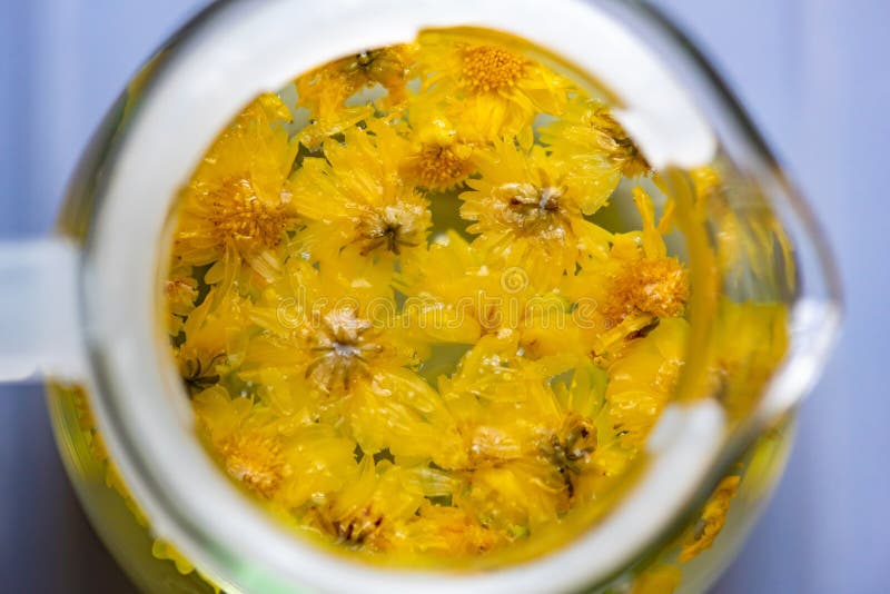 Organic flower tea stock photo. Image of daisy, infusion - 187889894