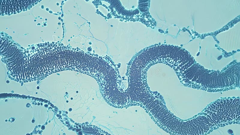 Organic Flowing Wave-like Structures in Blue Tones Resembling ...