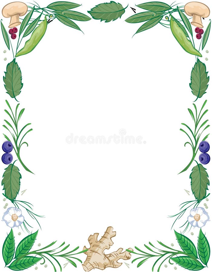 Organic Food Border stock illustration. Illustration of aromatherapy ...