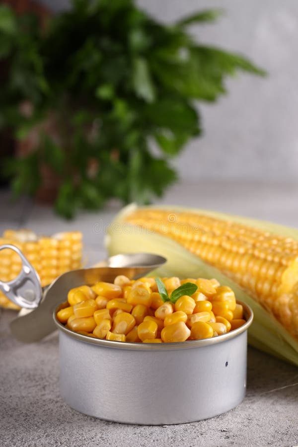 Organic food canned corn stock photo. Image of canned - 254550304