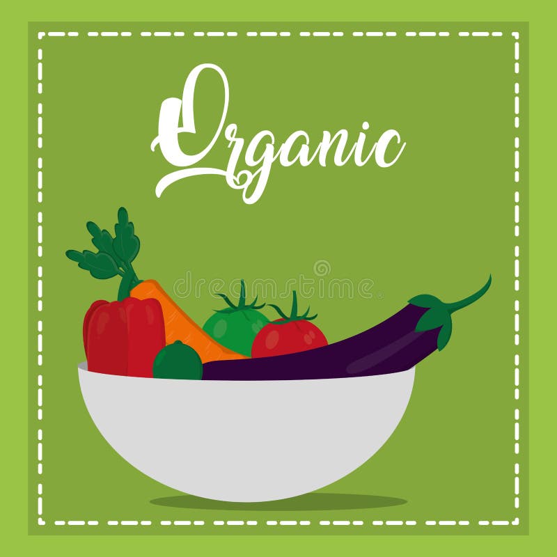 Organic food design stock vector. Illustration of natural - 109232542