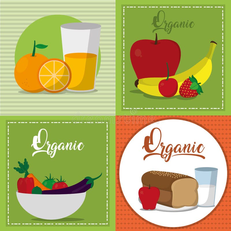 Organic food design stock vector. Illustration of ecology - 109232558
