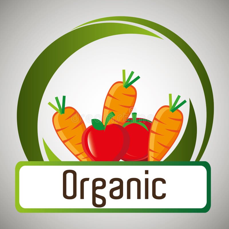 Organic food graphic stock vector. Illustration of lifekitchen - 65826048