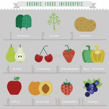 Food Info Graphics Illustrator Stock Illustrations – 17 Food Info ...