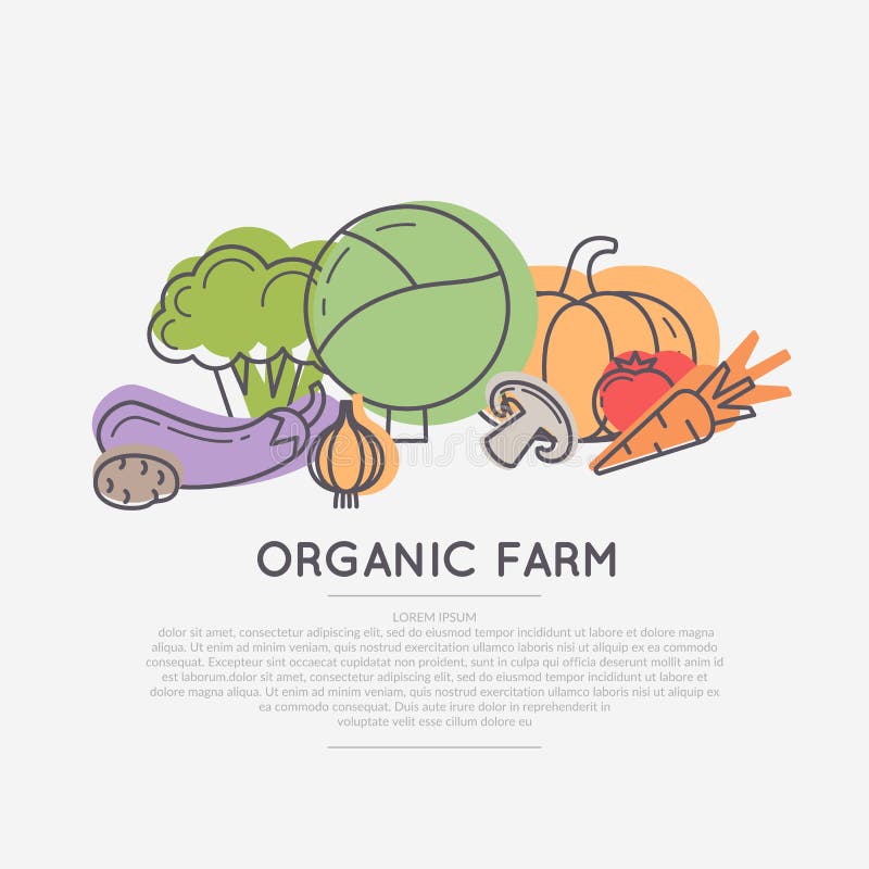Organic food poster. stock vector. Illustration of farm - 71216748
