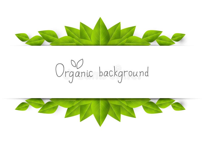 Organic frame stock vector. Illustration of element, green - 36903901