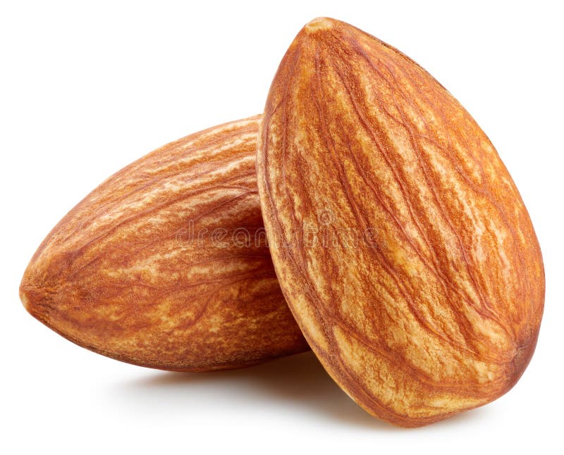 Organic Fresh Almond Isolated Stock Image - Image of macro, isol: 382677565