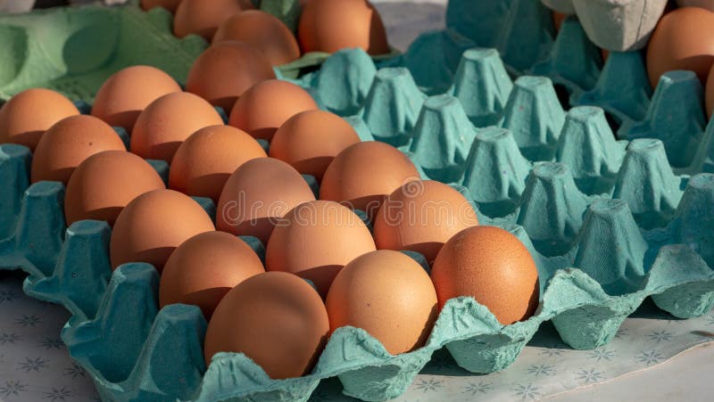 Organic Fresh Eggs on the Market Place Stock Photo - Image of market ...