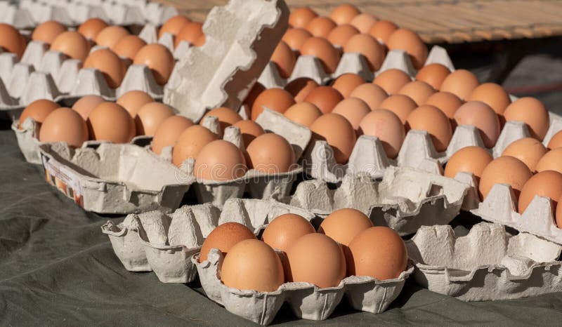 Organic Fresh Eggs on the Market Place Stock Image - Image of breakfast ...
