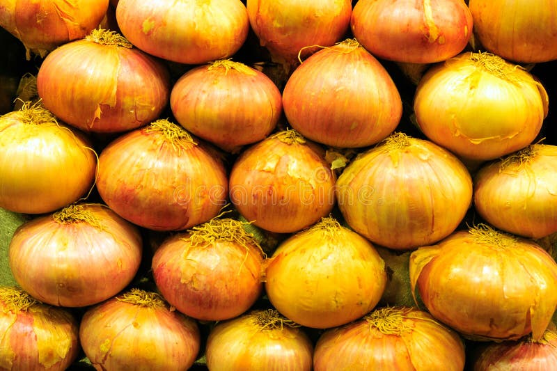 Fresh onion at the market stock image. Image of close - 115636429
