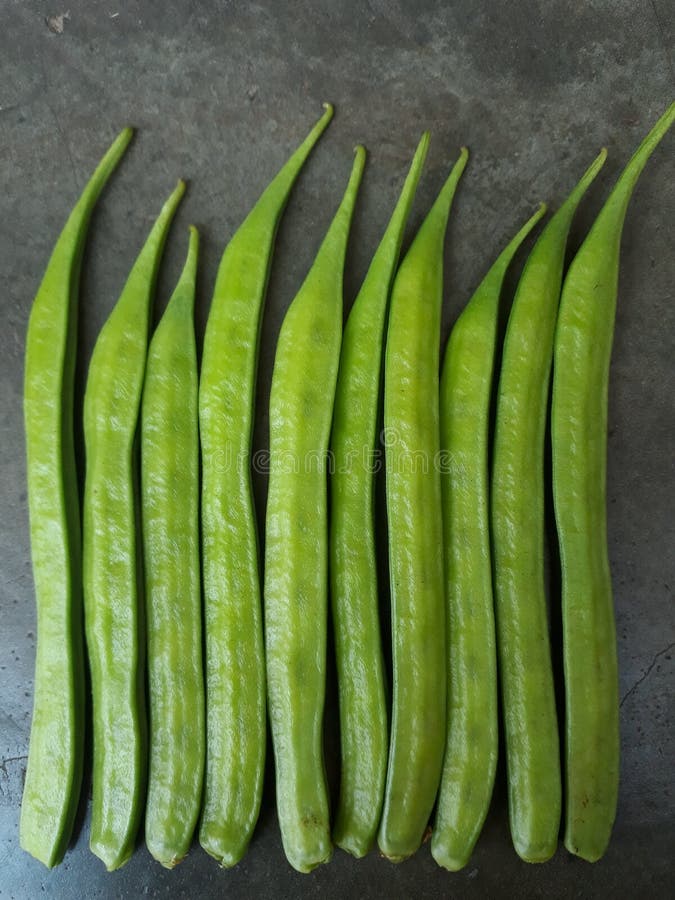 Clusters stock photo. Image of clusters, healthy, vegetables - 181895268