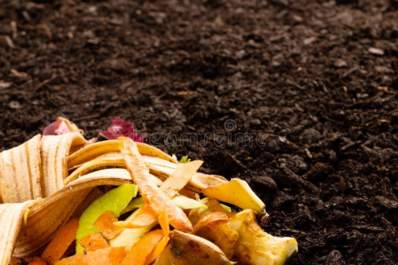 Organic Fruit and Vegetable Waste for Composting on Dark Soil, with ...