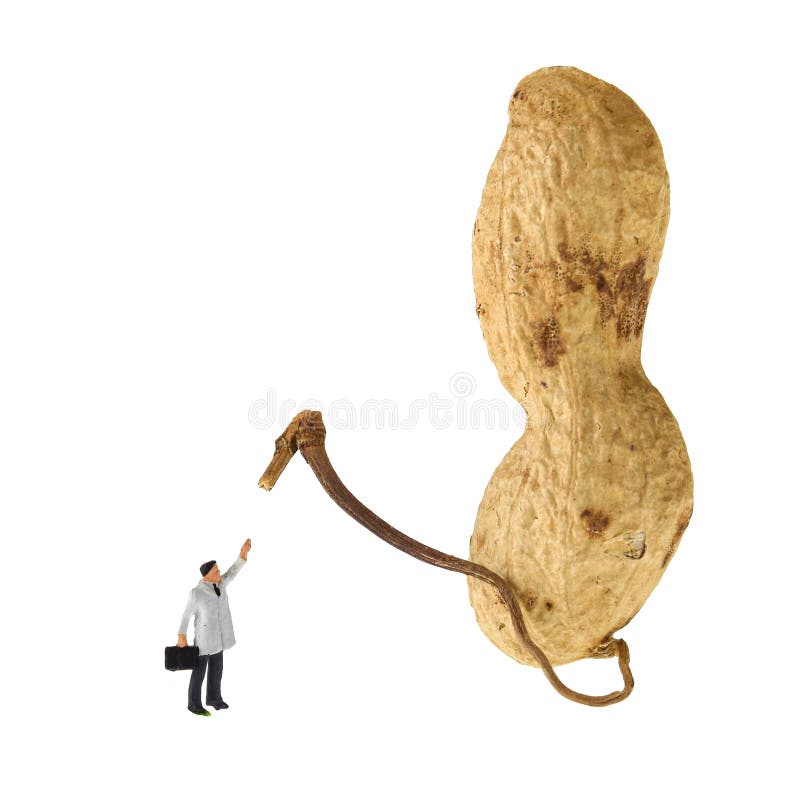 Organic Fuel from Natural Resources Stock Photo - Image of environment ...