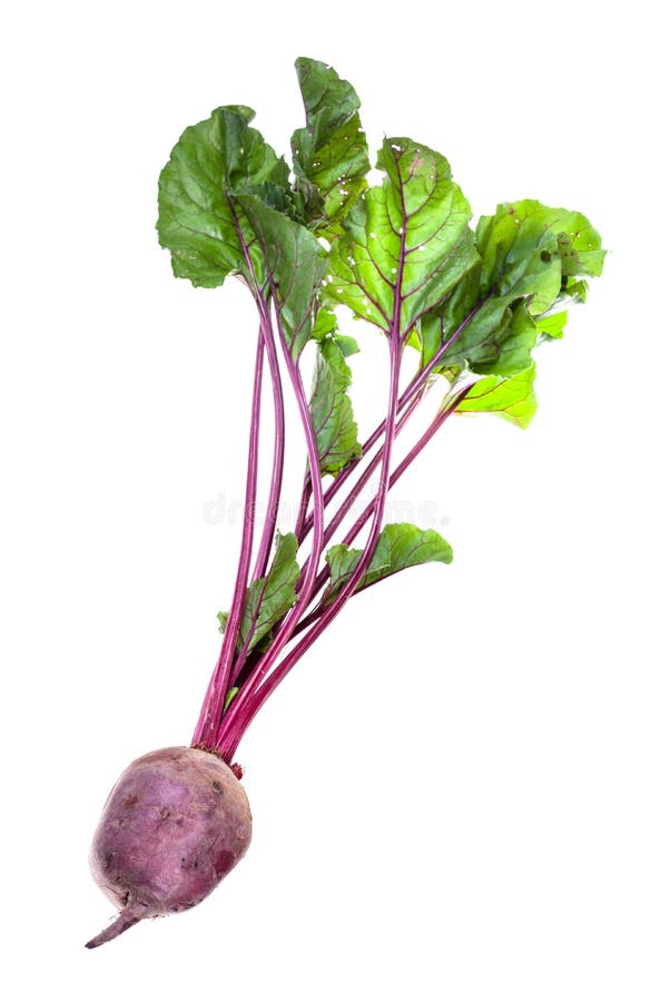 Single Beet Root With Greens Stock Image - Image of wooden, natural ...