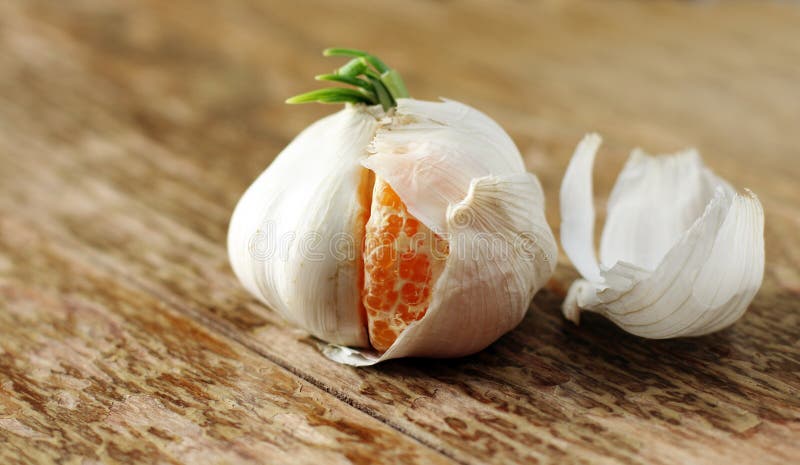 Organic Garlic with a Slice of Tangerine Stock Photo - Image of natural ...