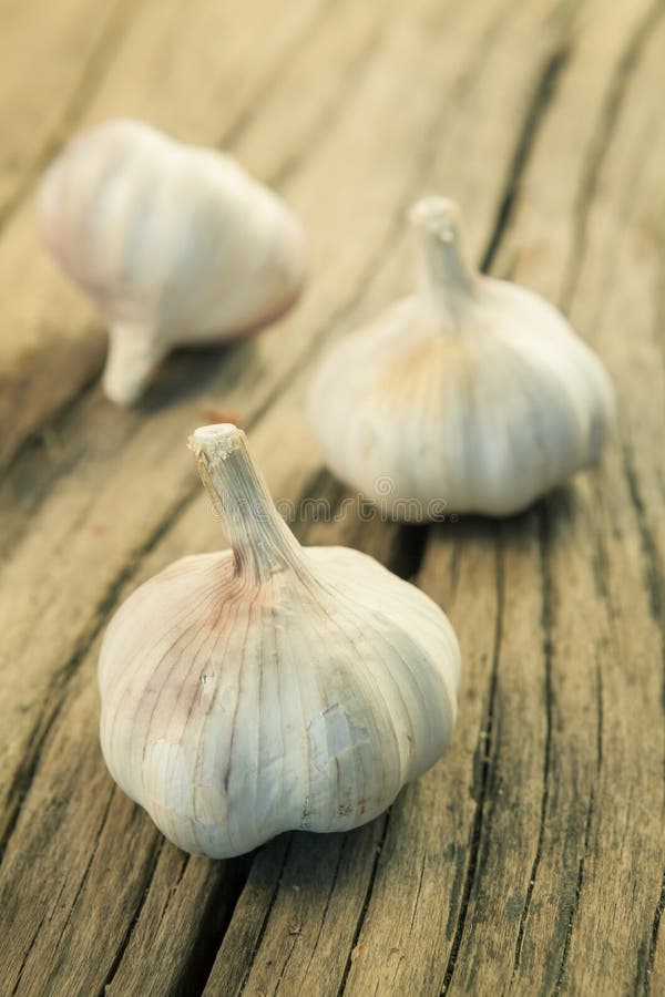 Organic garlic on wood stock image. Image of vegetarian - 40813347