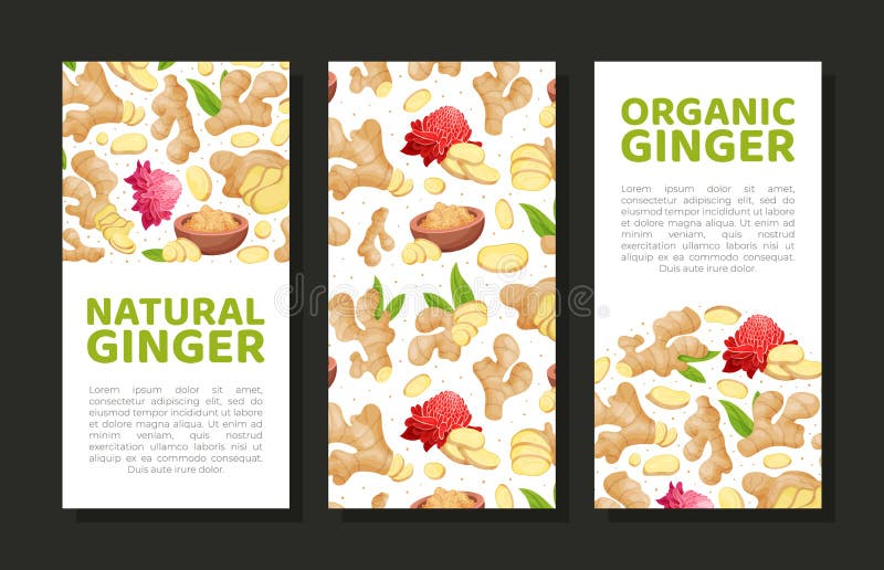 Organic Ginger Design with Root and Blooming Flower Vector Template ...