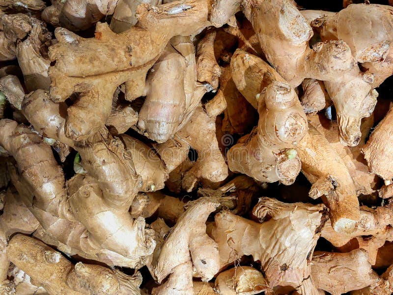 Organic Ginger, Pieces for Sale Stock Image - Image of organic, ginger ...