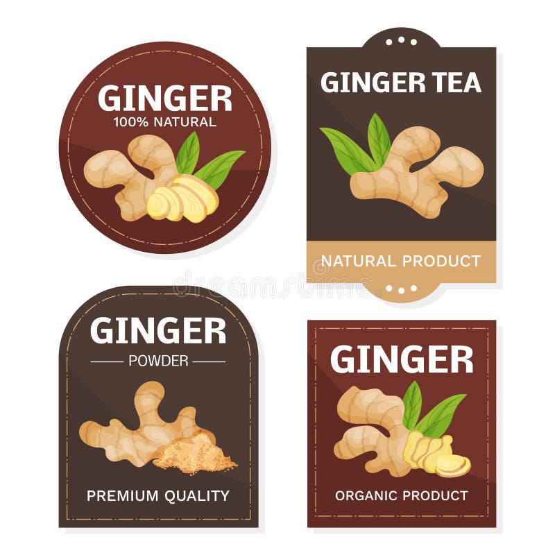 Organic Ginger Product Label Design with Root Vector Template Stock ...