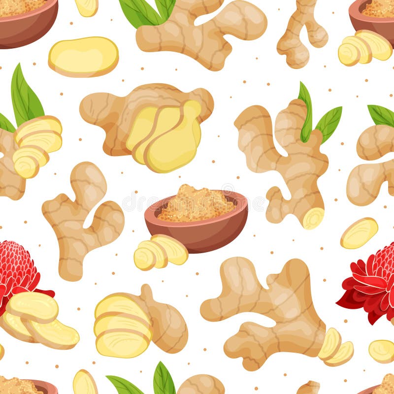 Organic Ginger Design with Root and Blooming Flower Vector Template ...