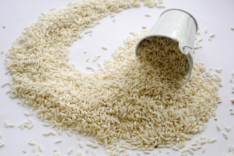 Organic Grain Rice, White Long Grain Rice. Stock Photo - Image of ...
