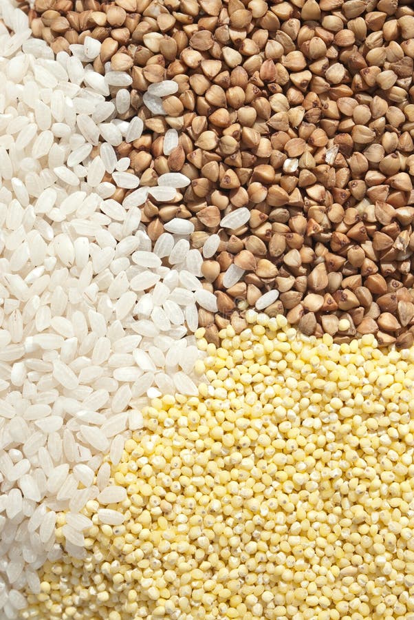 Grains textures stock photo. Image of oats, seeds, close - 13028388