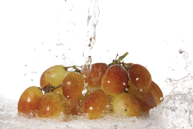 Organic Grapes Splash In Water-isolat Stock Image - Image of bubbles ...