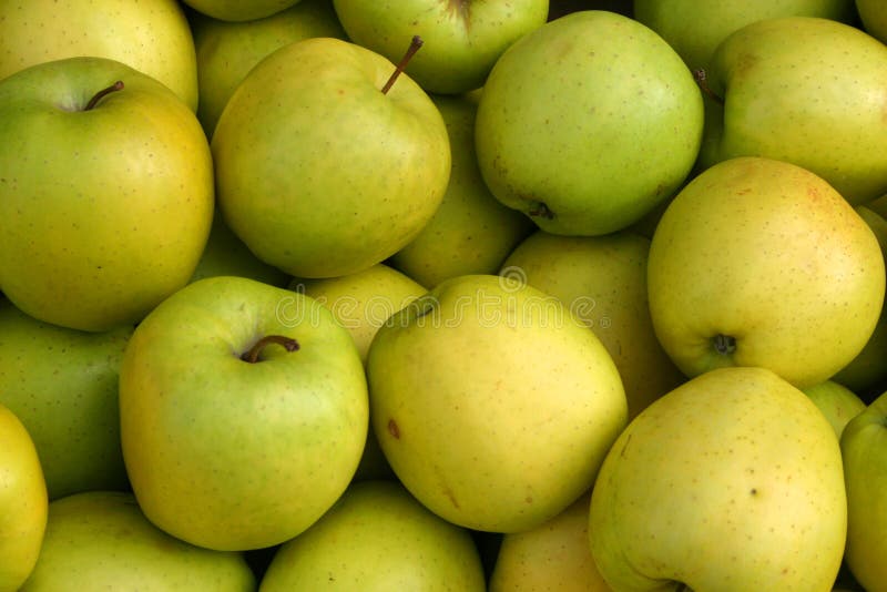 Organic Green Apples stock image. Image of food, colour - 502347