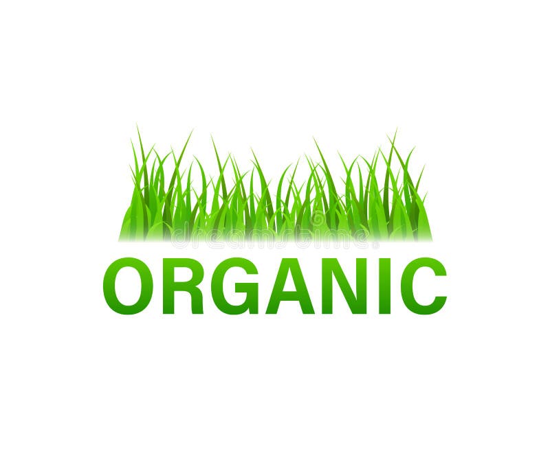 Organic. Green Grass Meadow Border Stock Vector - Illustration of ...