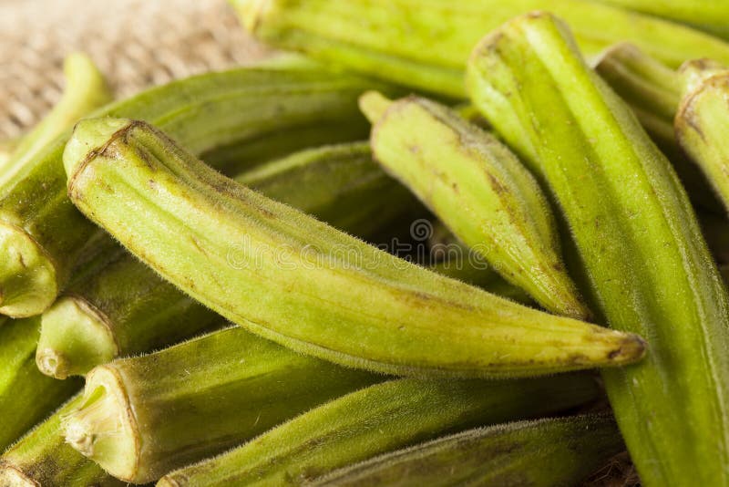 Organic Green Okra Vegetable Stock Photo - Image of produce, vegetable ...