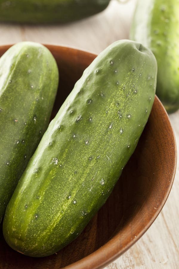 Organic Green Pickle Cucumbers Stock Image - Image of food, gourmet ...