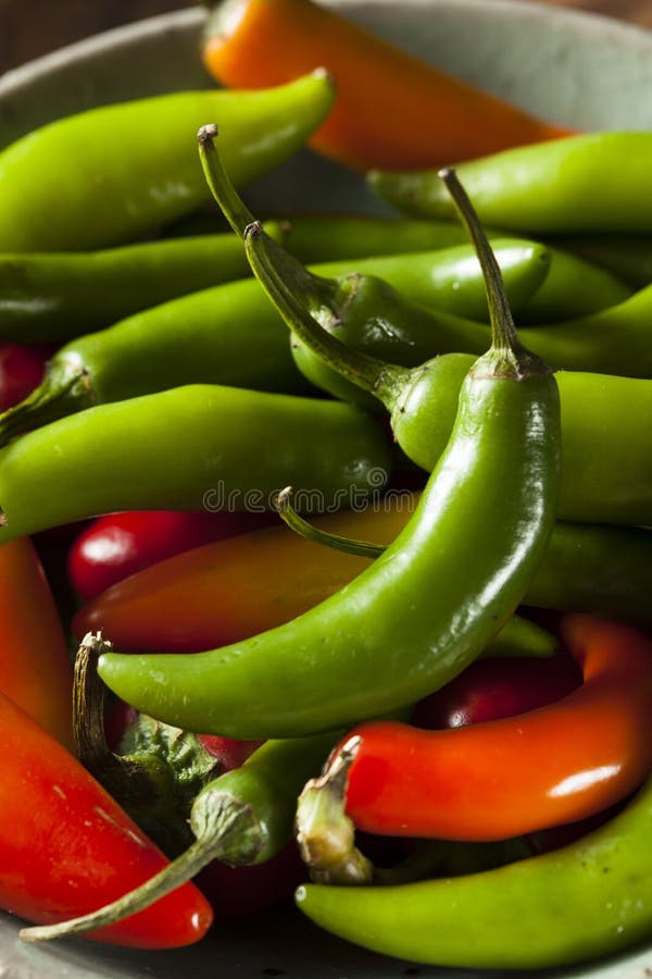 Organic Green Spicy Serrano Peppers Stock Image - Image of spicy ...
