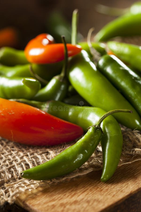 Organic Green Spicy Serrano Peppers Stock Image - Image of vegetable ...