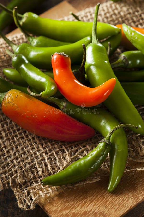 Organic Green Spicy Serrano Peppers Stock Image - Image of freshness ...