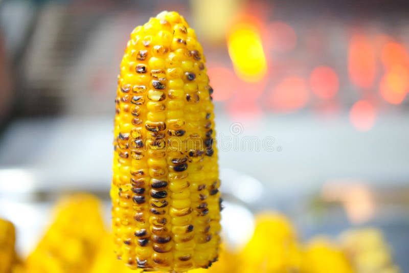 Organic grilled corn stock photo. Image of snack, vegetable - 77461460